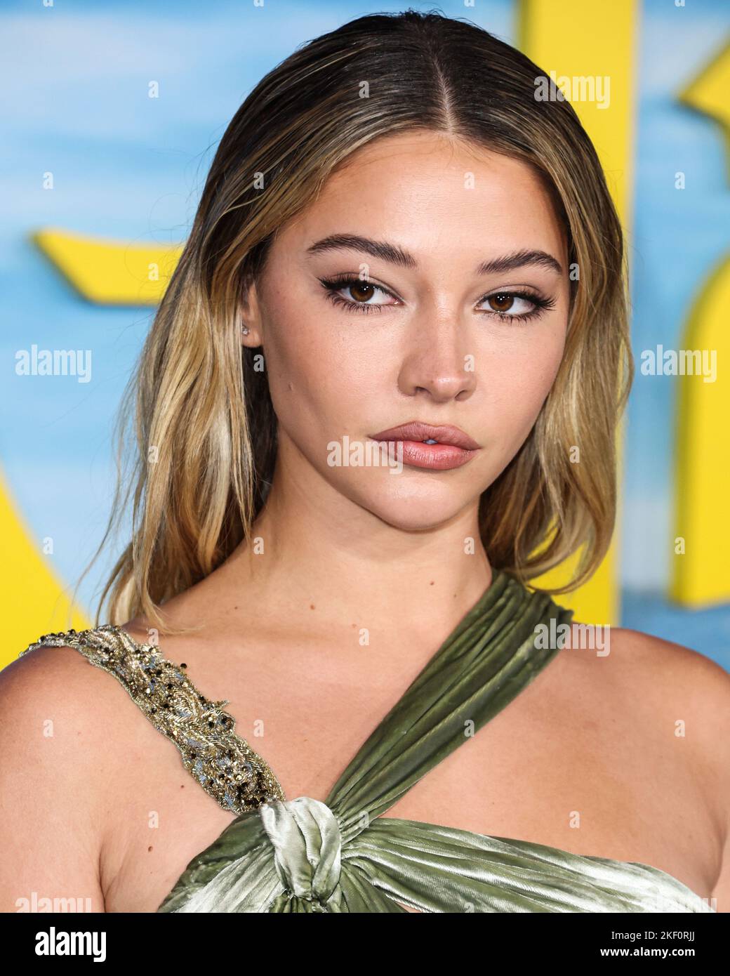 LOS ANGELES, CALIFORNIA, USA - NOVEMBER 14: American actress and model ...