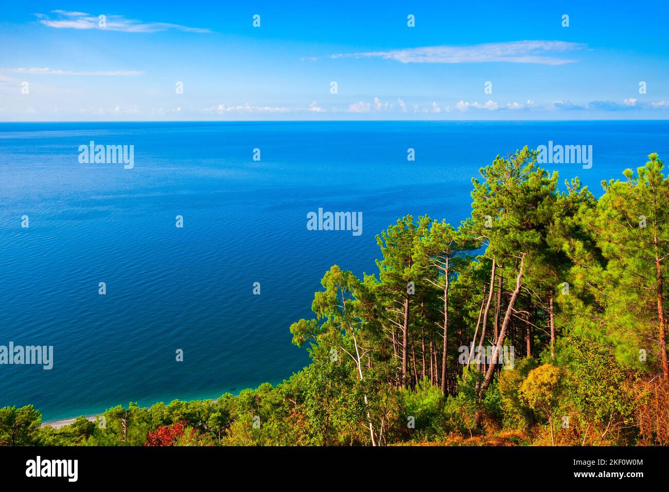 Beauty pine forest and Black Sea landscape near the Cold River Dacha ...