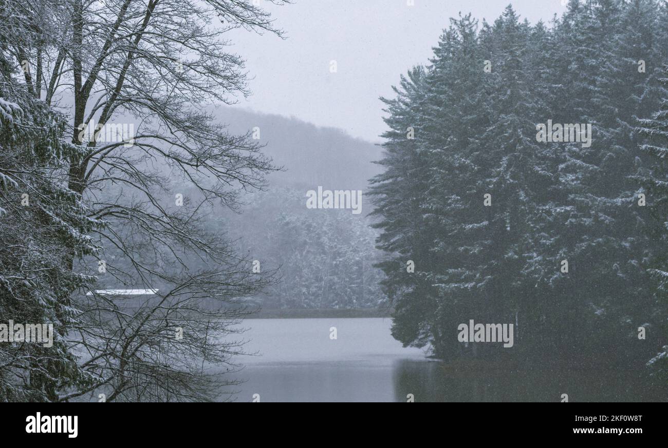 Winter snowfall slow motion hi-res stock photography and images - Alamy