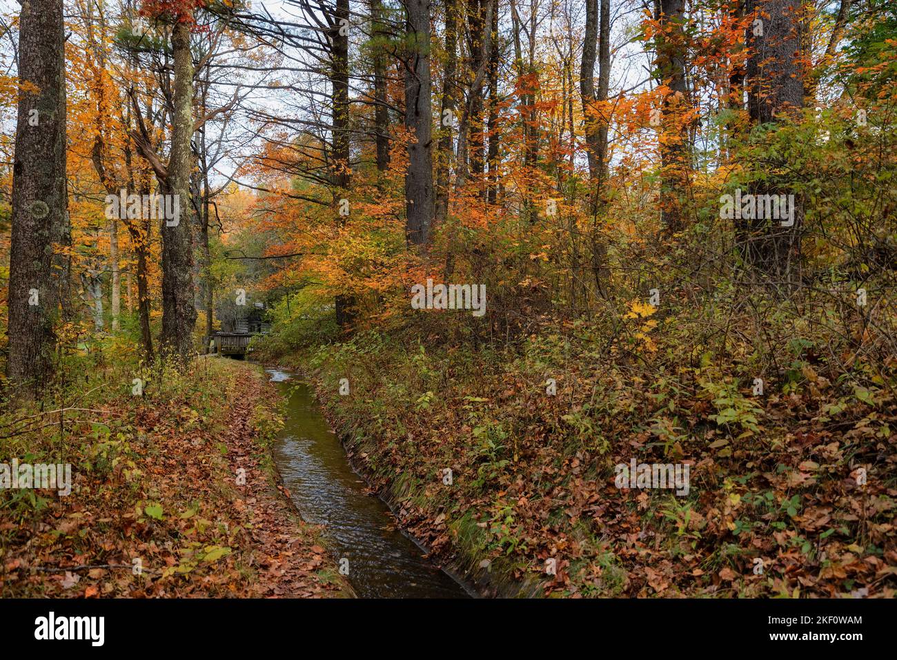 Through an autumn colored forest runs a Flume providing power to the ...
