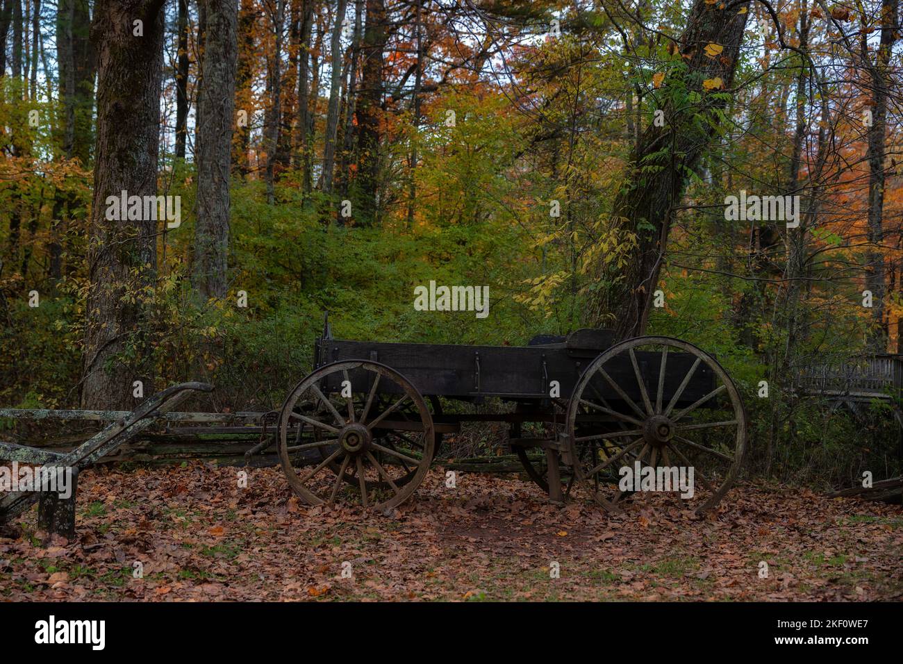 Ano old wagon surrounded by autumn leaves in the Blue Ridge Parkway in ...