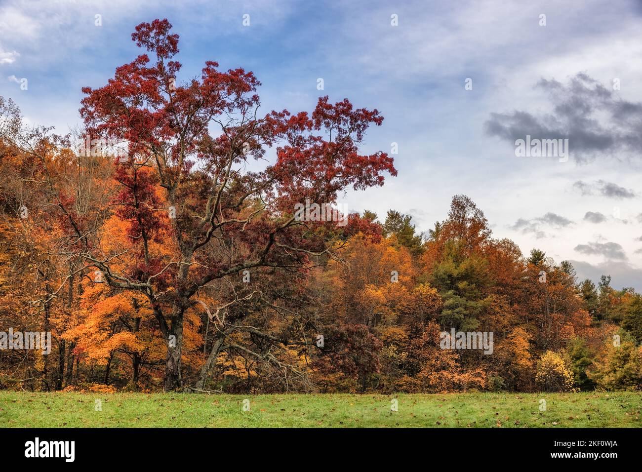 Autumn landscapes along the Blue Ridge Parkway in Virginia, USA Stock ...
