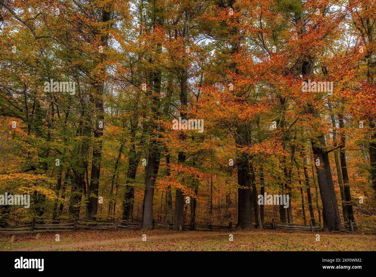 Autumn landscapes along the Blue Ridge Parkway in Virginia, USA Stock ...