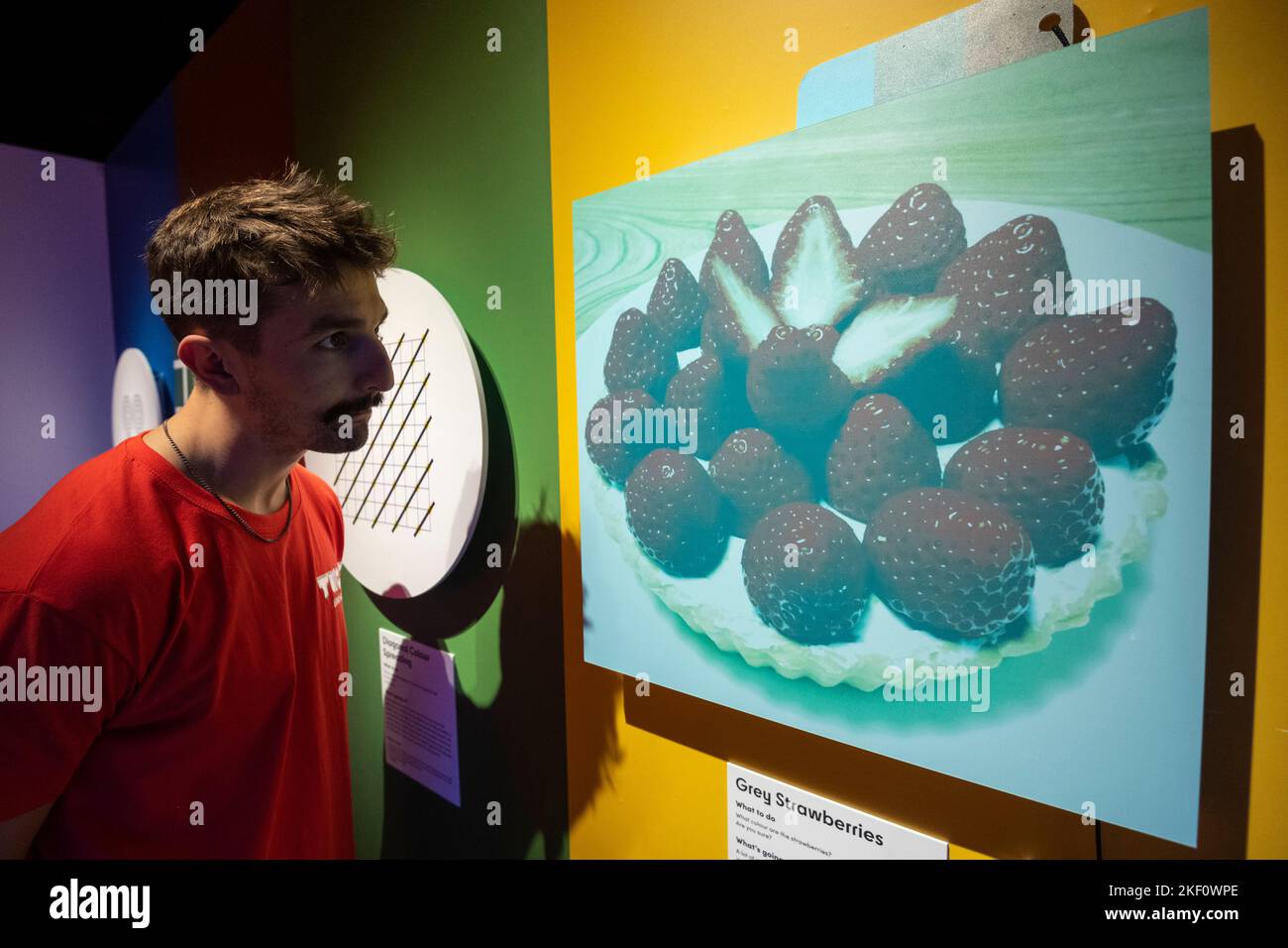 London, UK. 15 November 2022. A staff member views 'Grey Strawberries ...