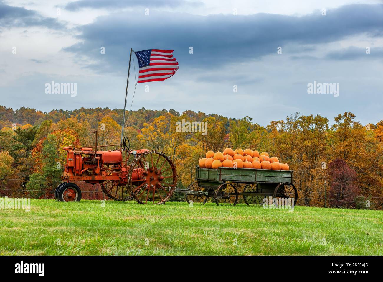 An old red tractor with a American Flag, sits in a field hitched to a ...