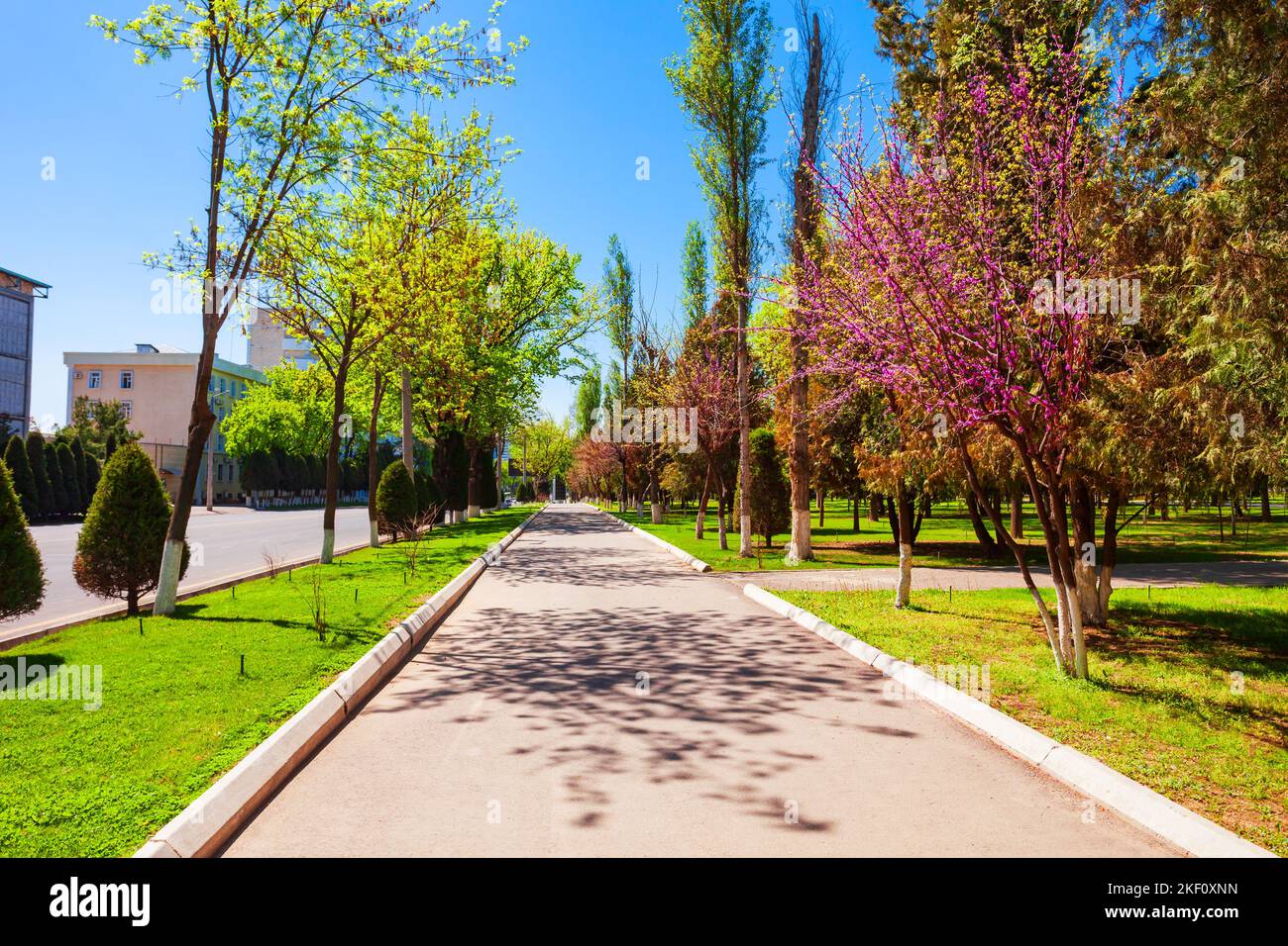 Amir timur avenue hi-res stock photography and images - Alamy