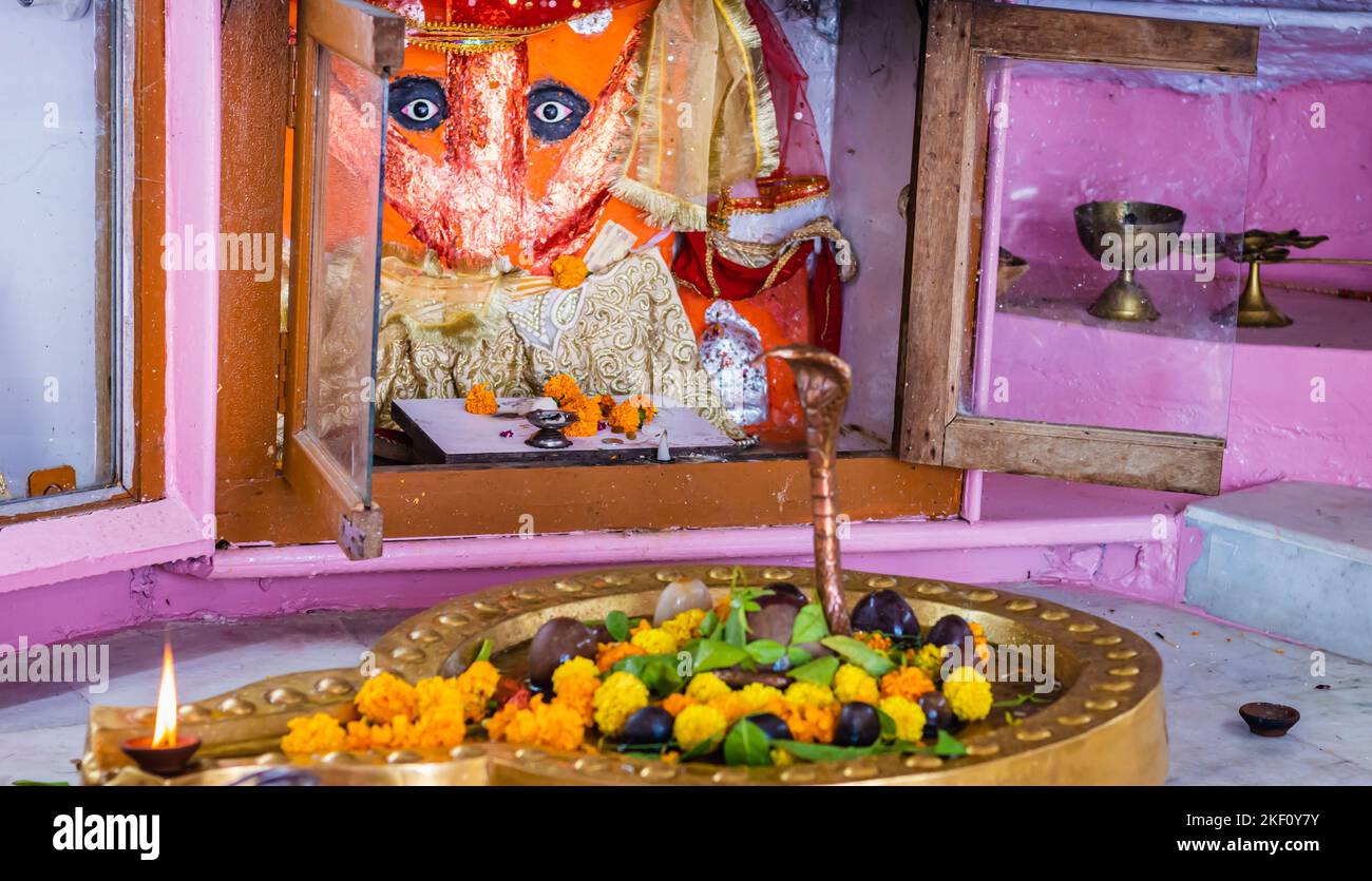 The flowers worshiping the Hindu Shiva god Stock Photo - Alamy