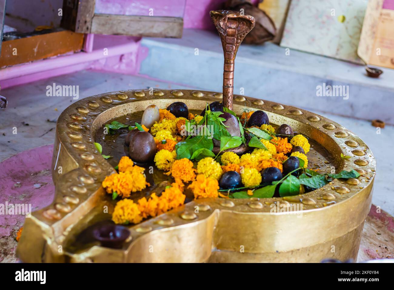 The flowers worshiping the Hindu Shiva god Stock Photo - Alamy