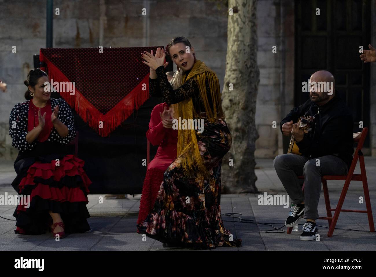 Dia mundial del flamenco hi-res stock photography and images - Alamy
