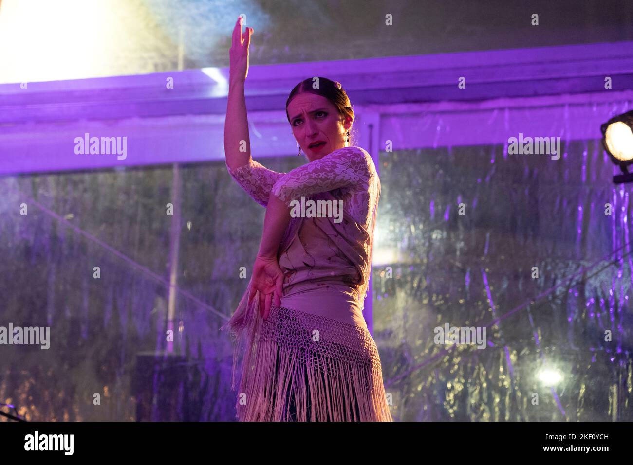The flamenco dancer Sheila Aranda with her company Son de Flamenco ...