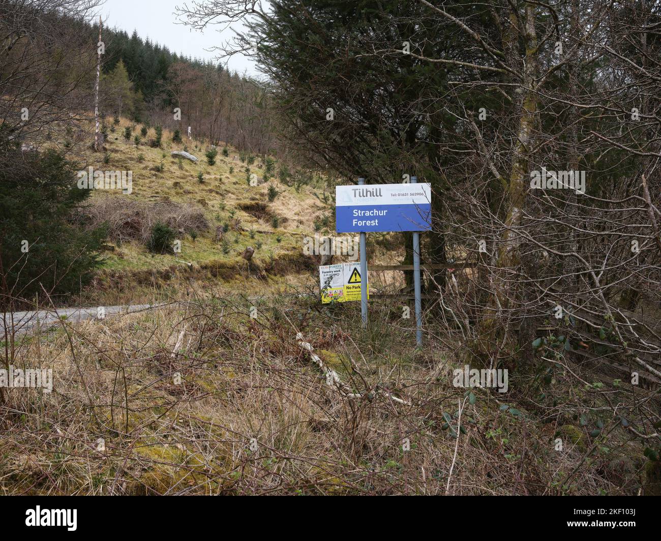 Destroyed parking sign hi-res stock photography and images - Alamy
