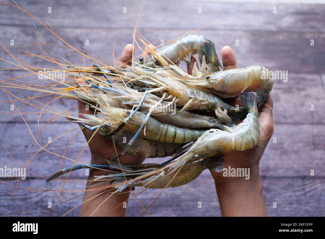 top view of raw king prawn on hand Stock Photo - Alamy