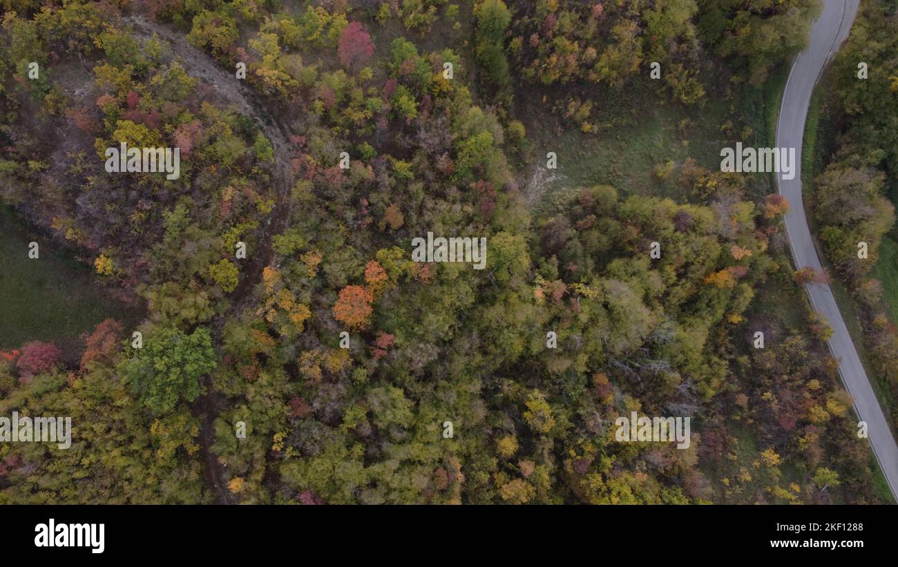Drone image of oak trees hi-res stock photography and images - Alamy