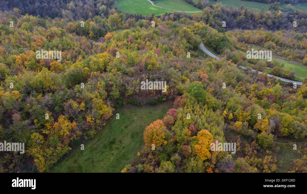 scenic drone aerial view of autumn coloured tress forest in Vezzolacca ...