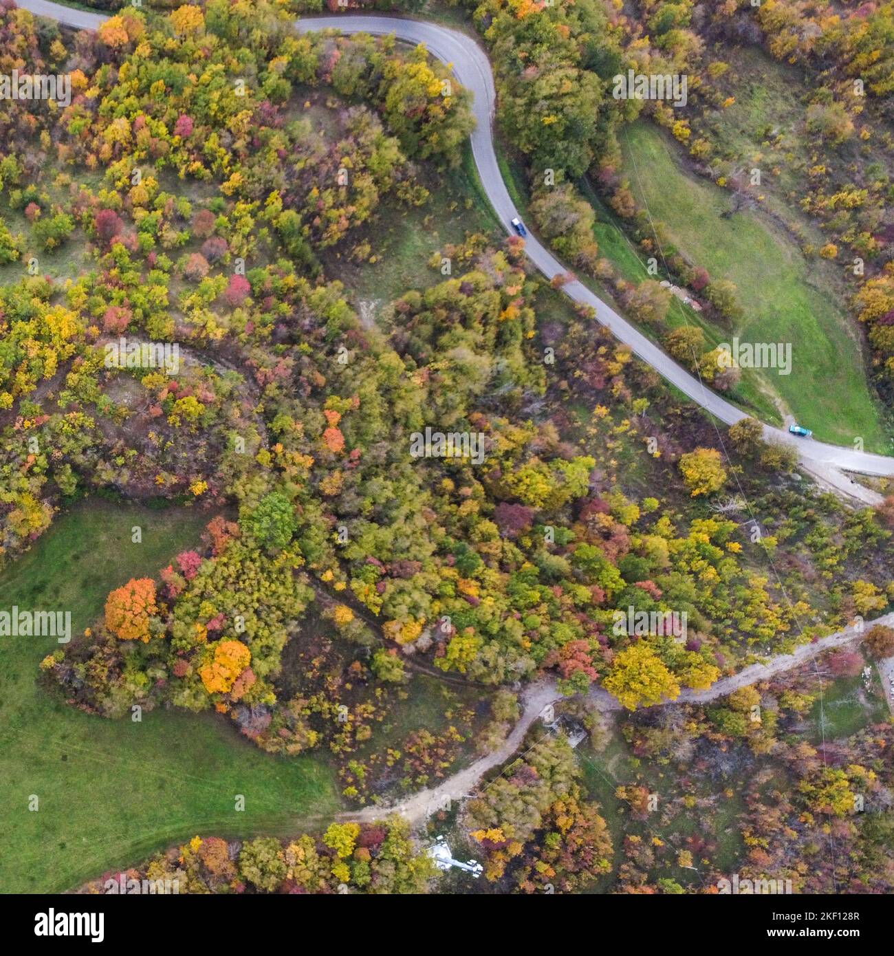 scenic drone aerial view of autumn coloured tress forest in Vezzolacca ...