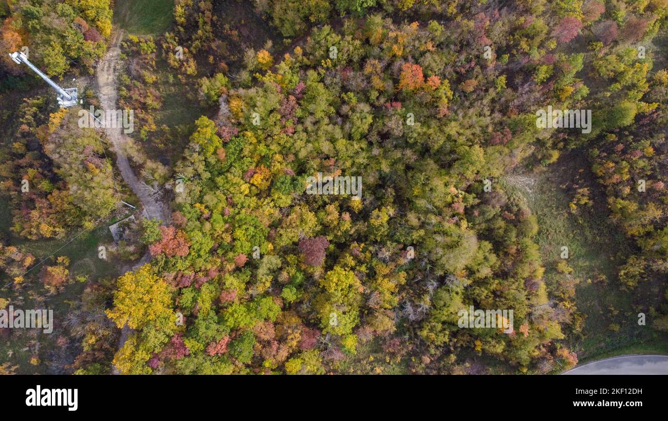 scenic drone aerial view of autumn coloured tress forest in Vezzolacca ...