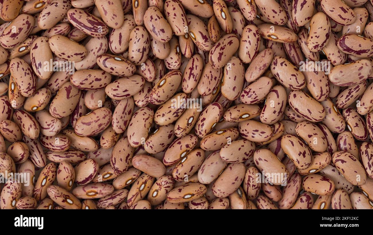 Pinto bean agriculture hi-res stock photography and images - Alamy