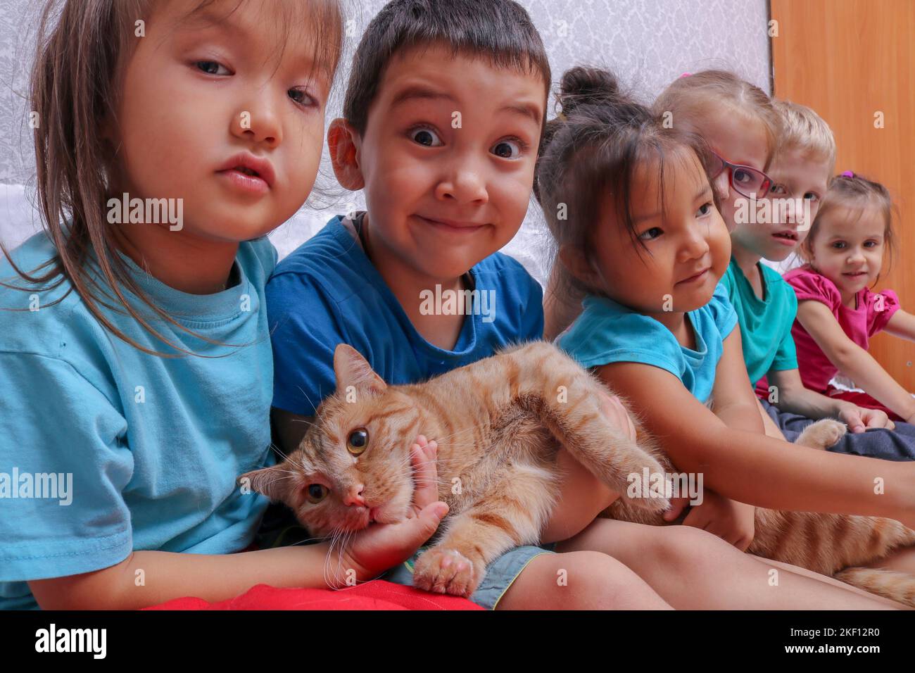 loving kids holding and cuddling a tabby cat Stock Photo - Alamy