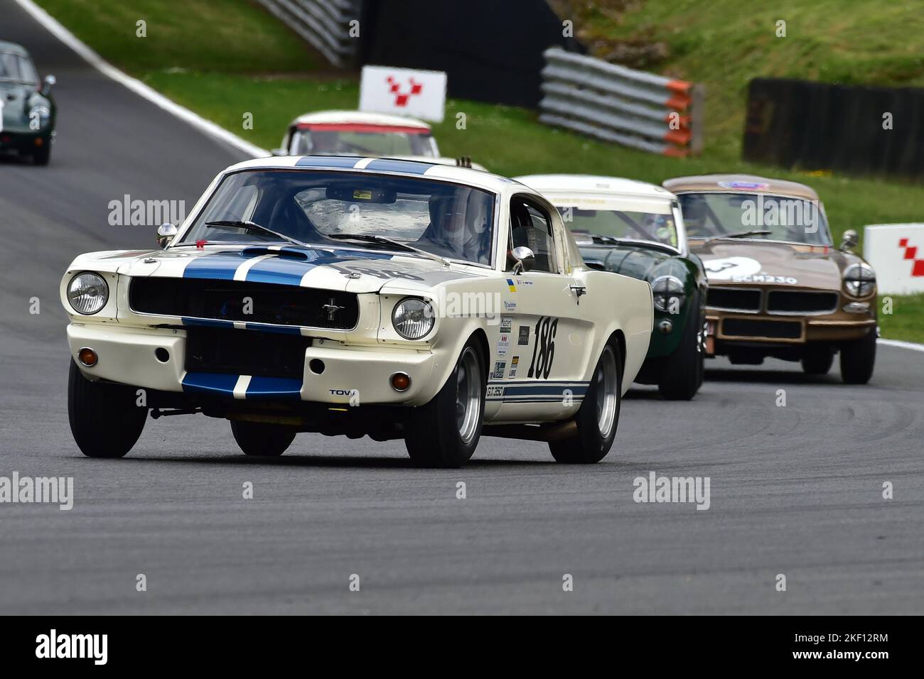 Jeremy Cooke, Tommy Waterfield, Ford Shelby Mustang GT350, Gentlemen ...