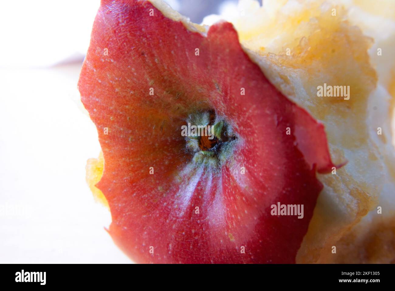 Skin bottom hi-res stock photography and images - Alamy
