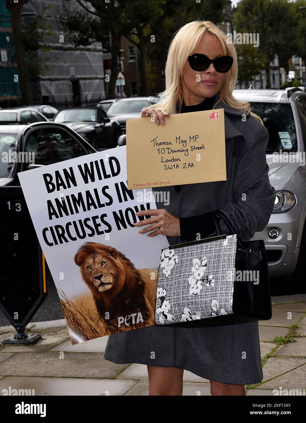 Pamela anderson bay watch hi-res stock photography and images - Alamy