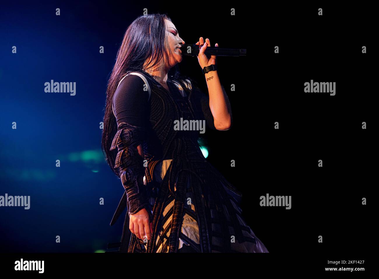 Evanescence live concert at Mediolanum Forum in Assago Milan Italy ...