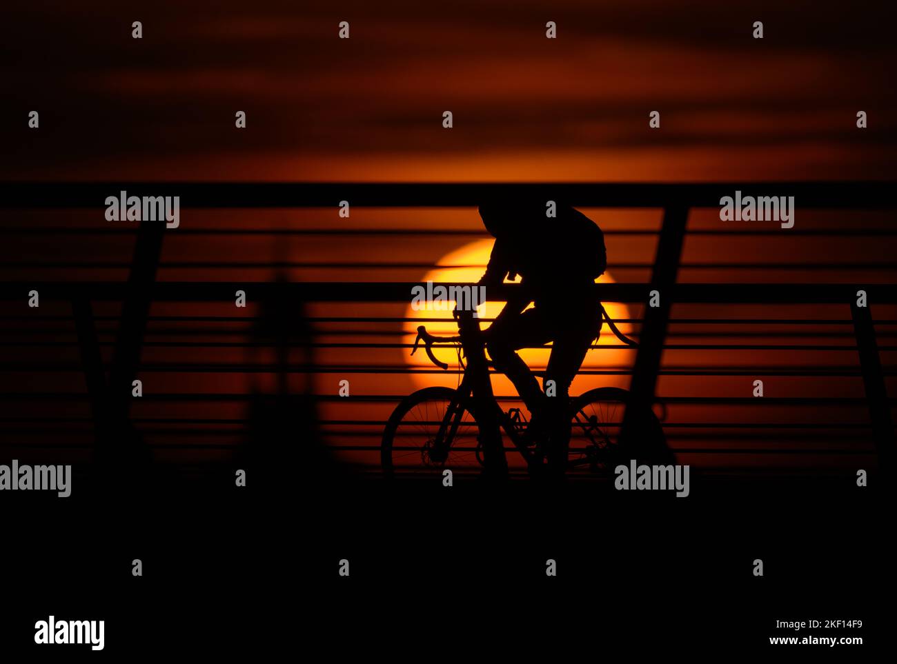 Dresden, Germany. 15th Nov, 2022. A cyclist rides across the ...