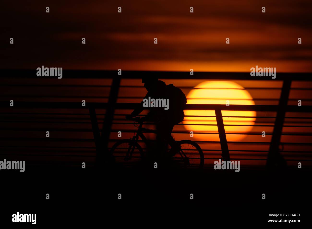 Dresden, Germany. 15th Nov, 2022. A cyclist rides across the ...