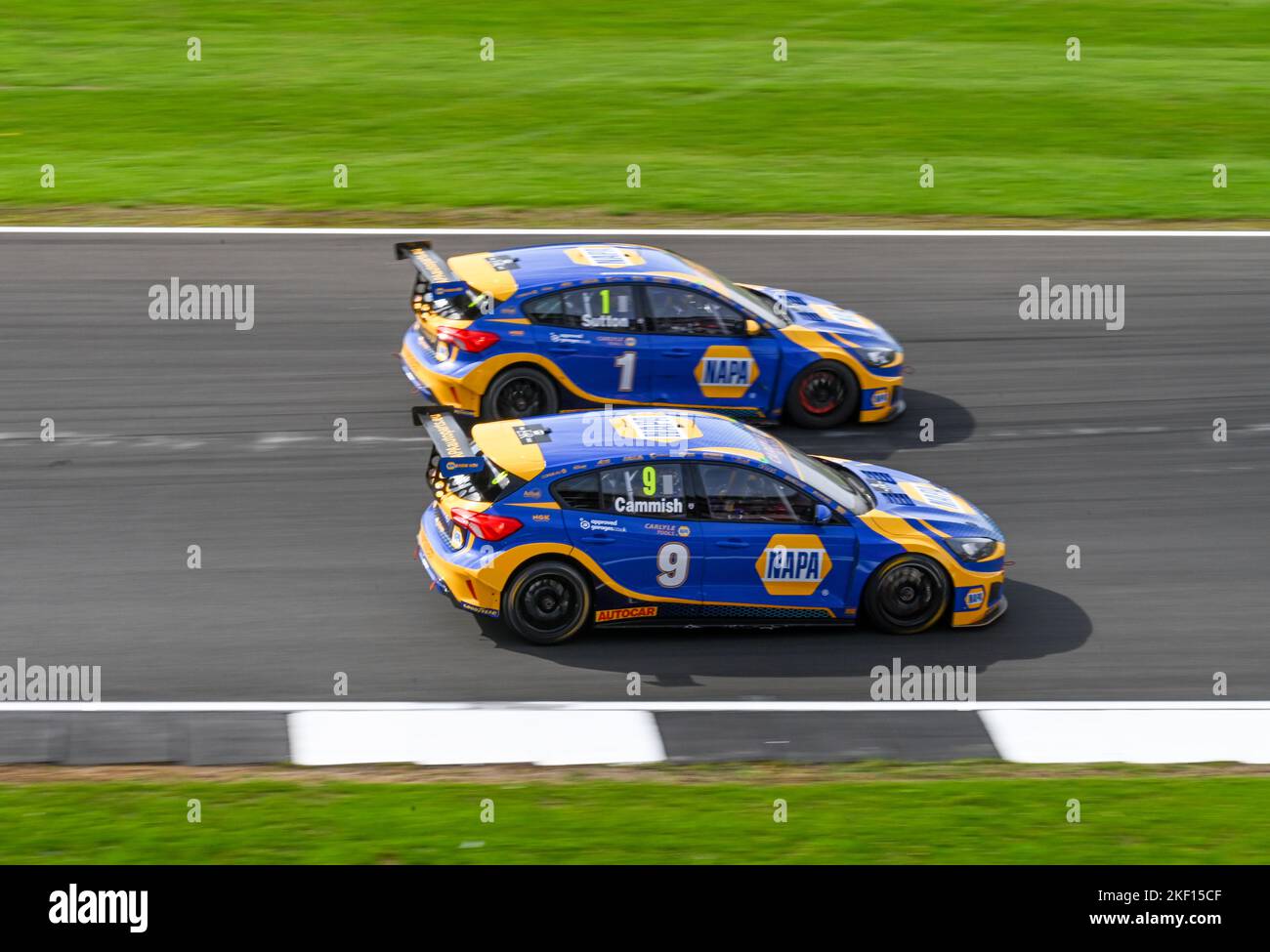 Champion hi res hi-res stock photography and images - Alamy