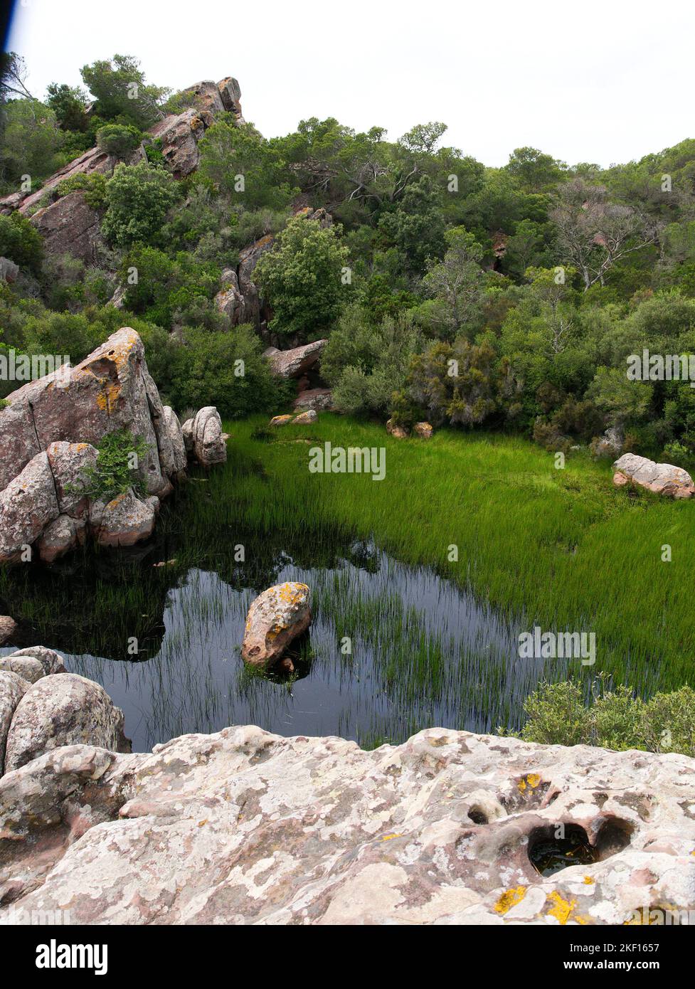Swamp rock hi-res stock photography and images - Alamy