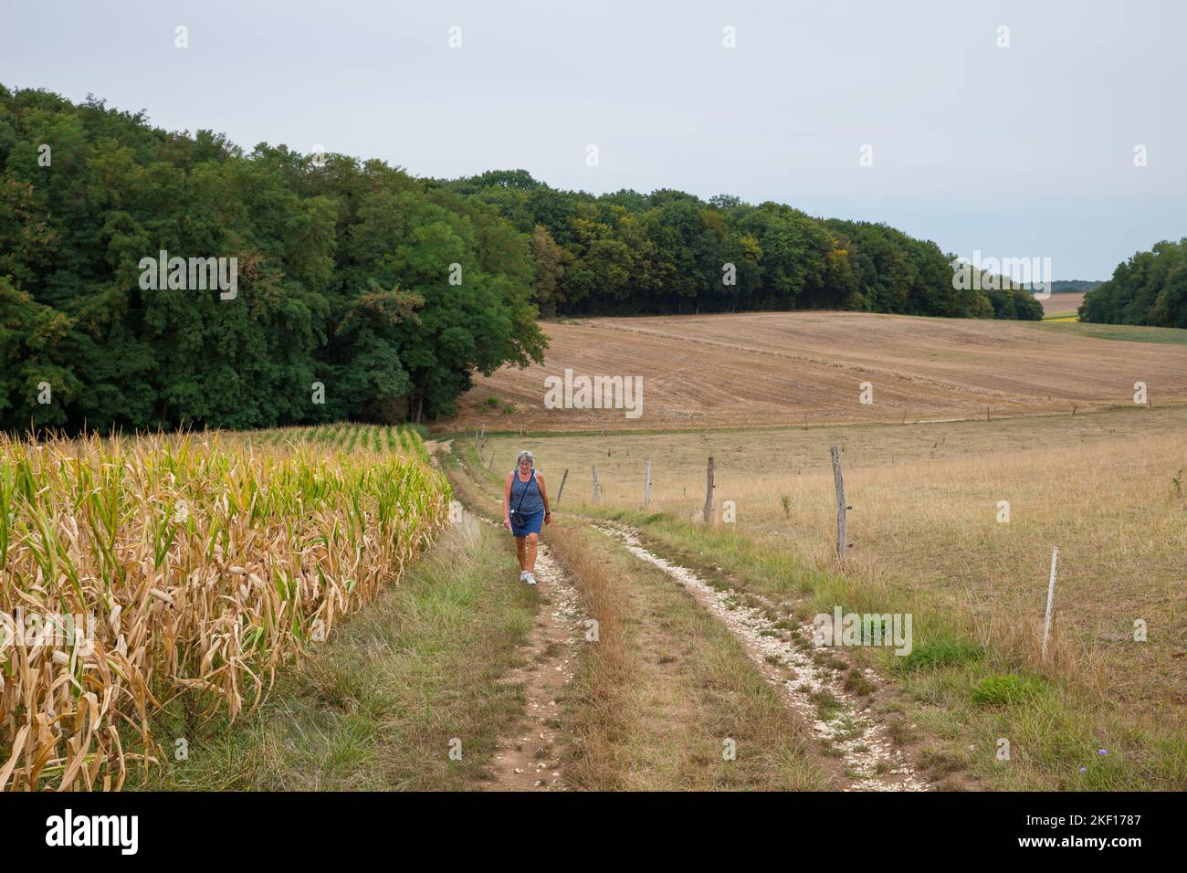 the landscape of France with a woman on a walk Stock Photo - Alamy