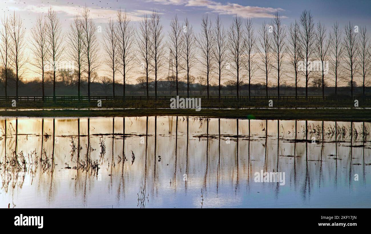 Severe flooding and reflections of trees in water seen from the ...
