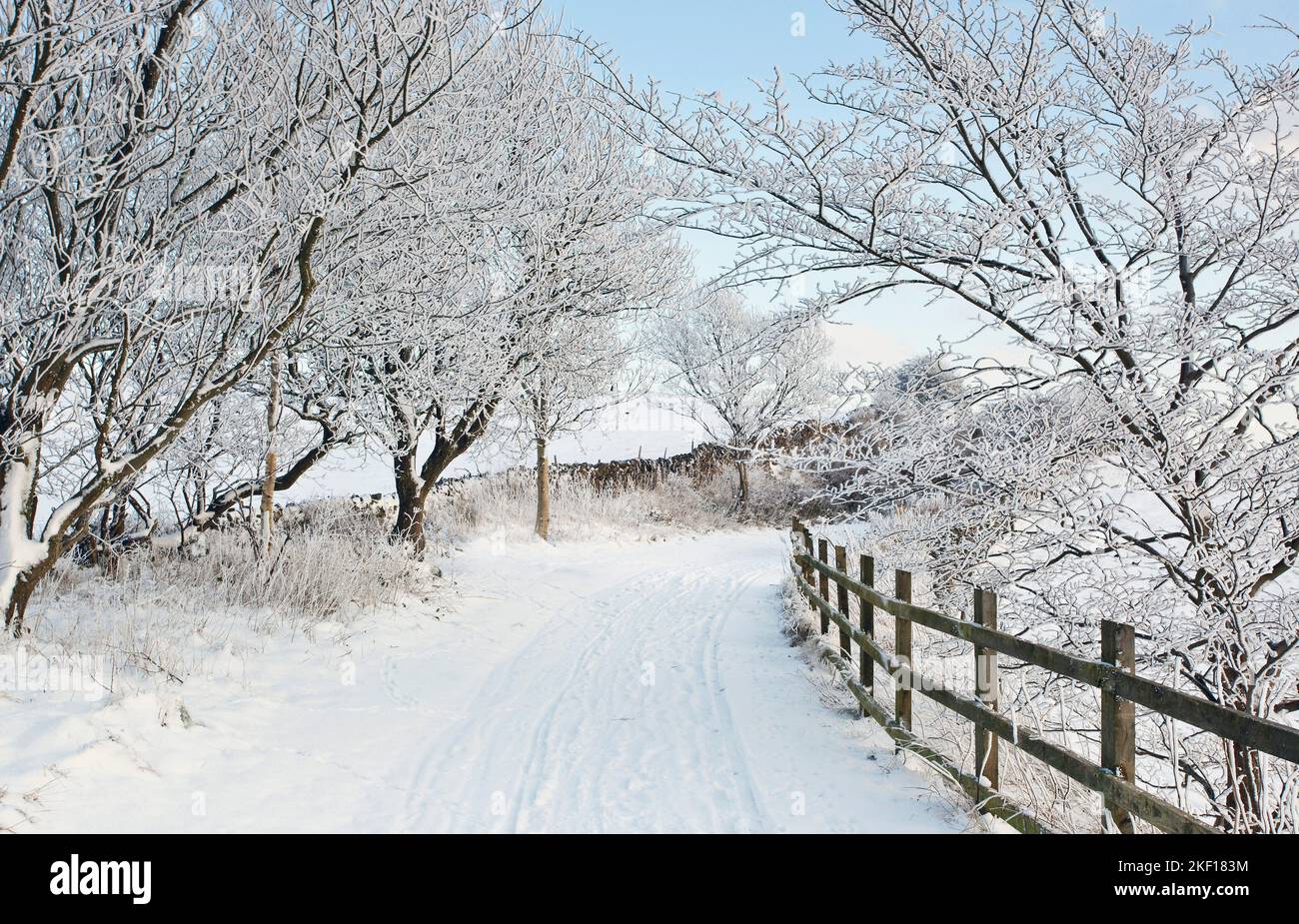 Winter sun with blue sky`s, snow and frost covered, tracks, fields, and ...