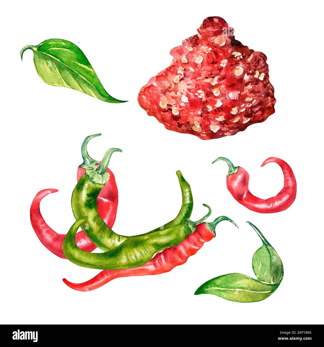 Red chili hot peppers and green leaves watercolor illustration isolated on white. Powder pepper ...