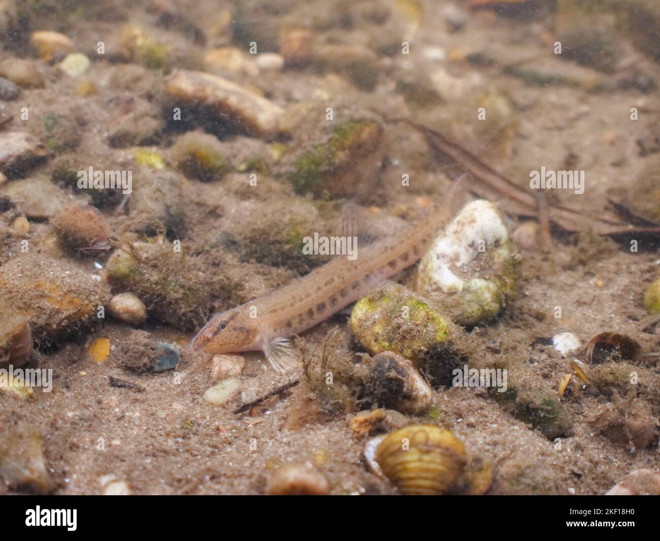 Mease river hi-res stock photography and images - Alamy