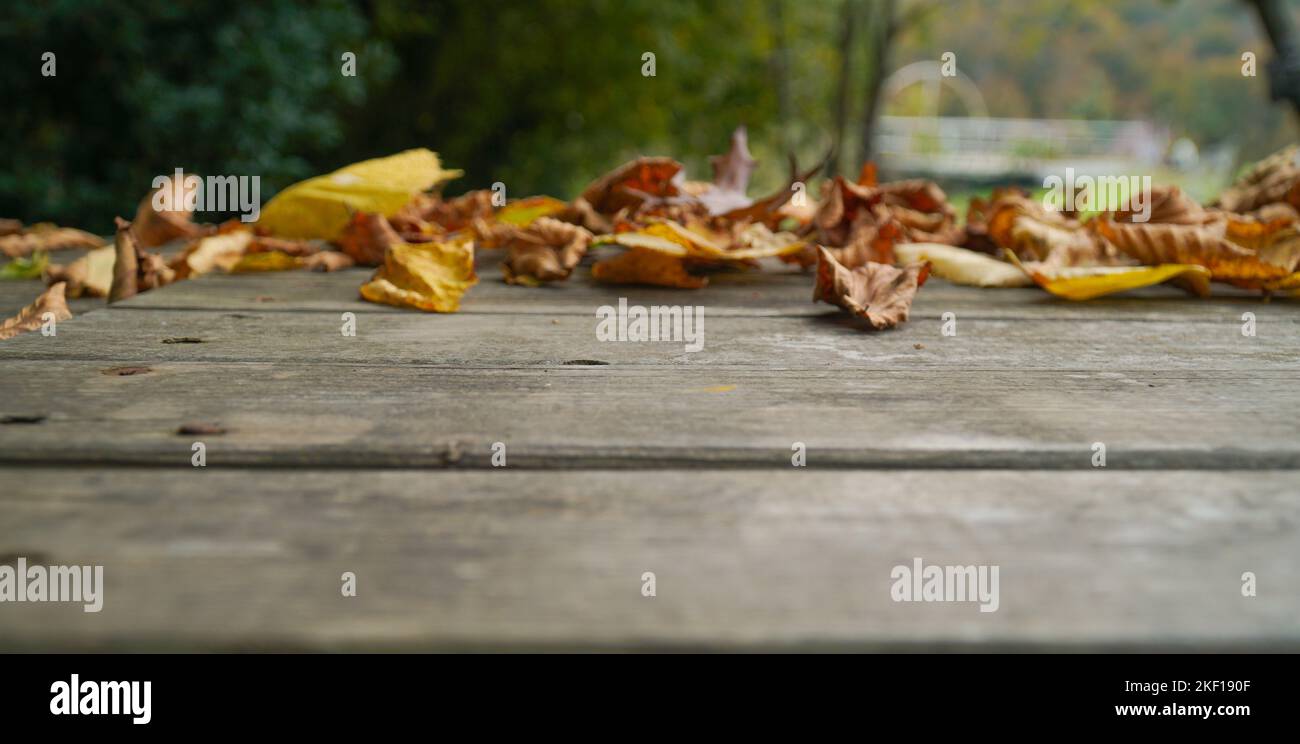 Close - up wooden rustic boards in front of backyard background in ...