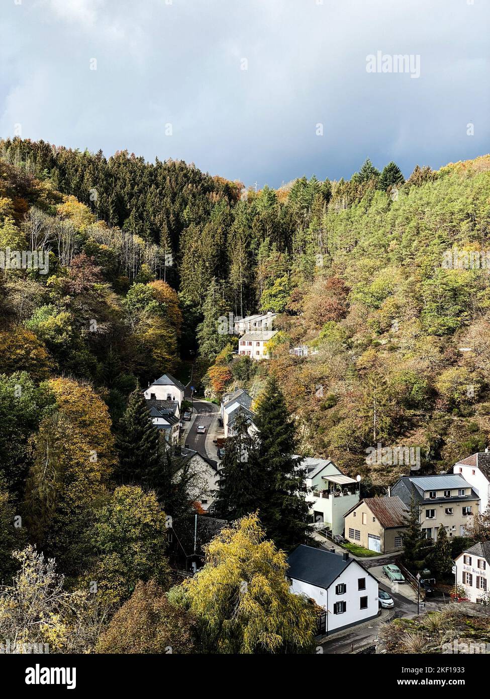A vertical shot of Ardennes, houses among vast forests in Belgium ...