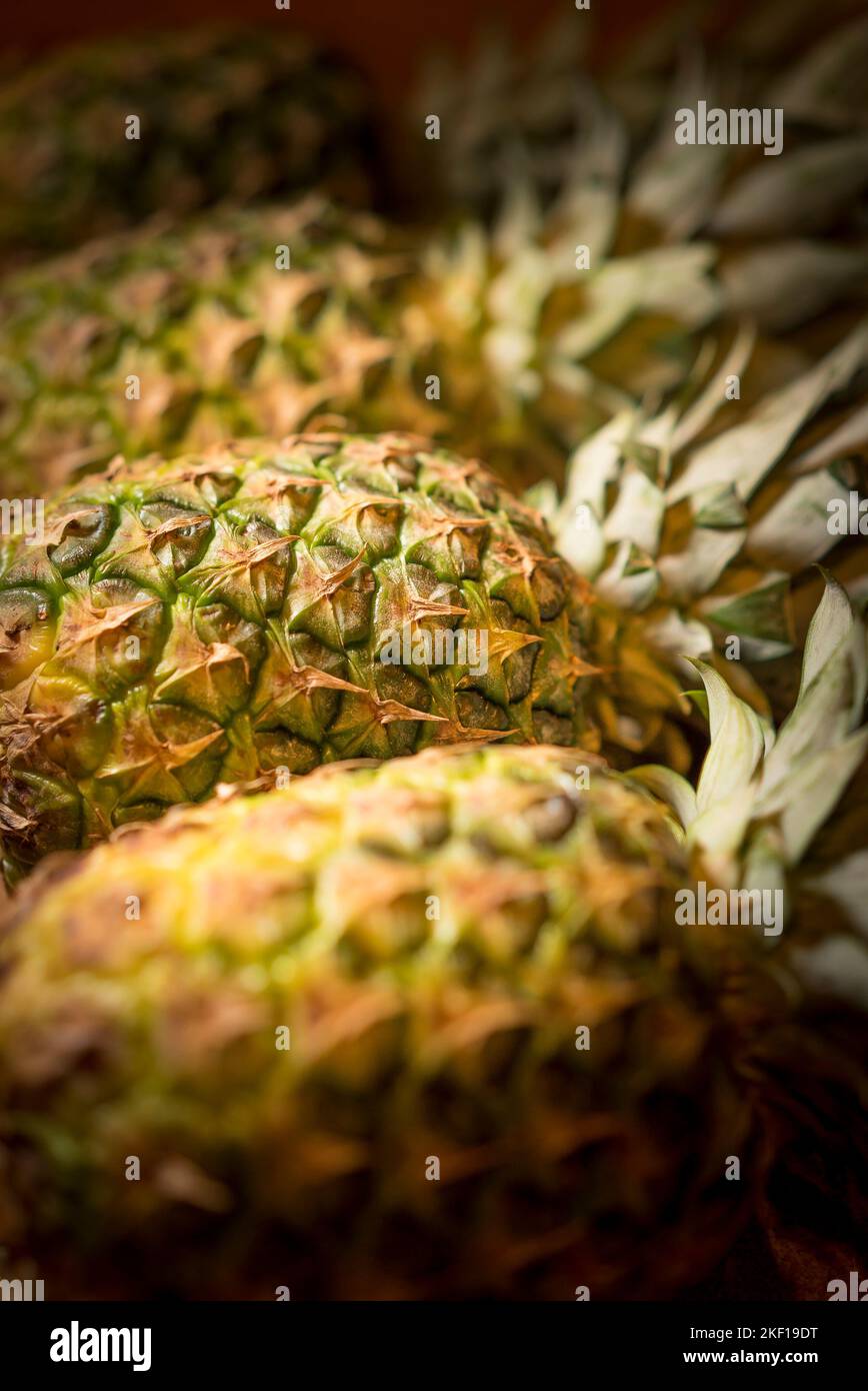 Close, vertical view of a row of whole, fresh uncut pineapples lying on ...