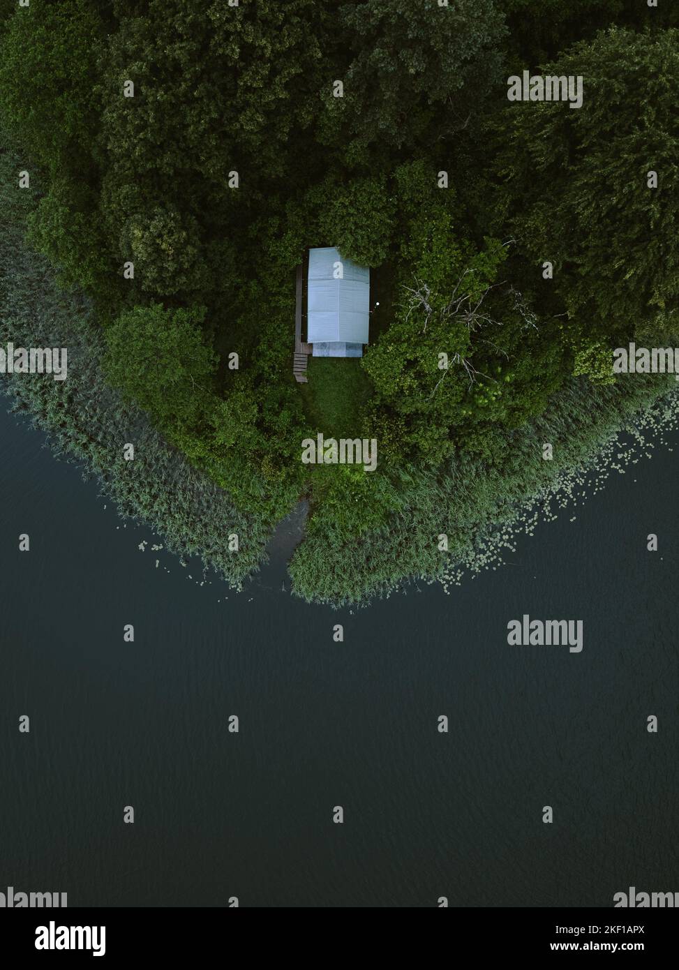 A view of calm lake and fishing cabin surrounded by green foliage from ...