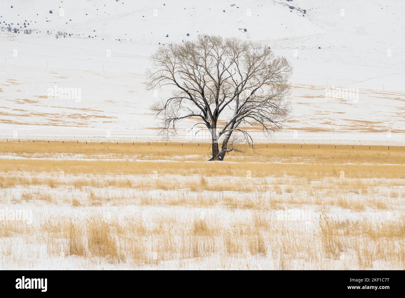 Beautiful prairies hi-res stock photography and images - Alamy