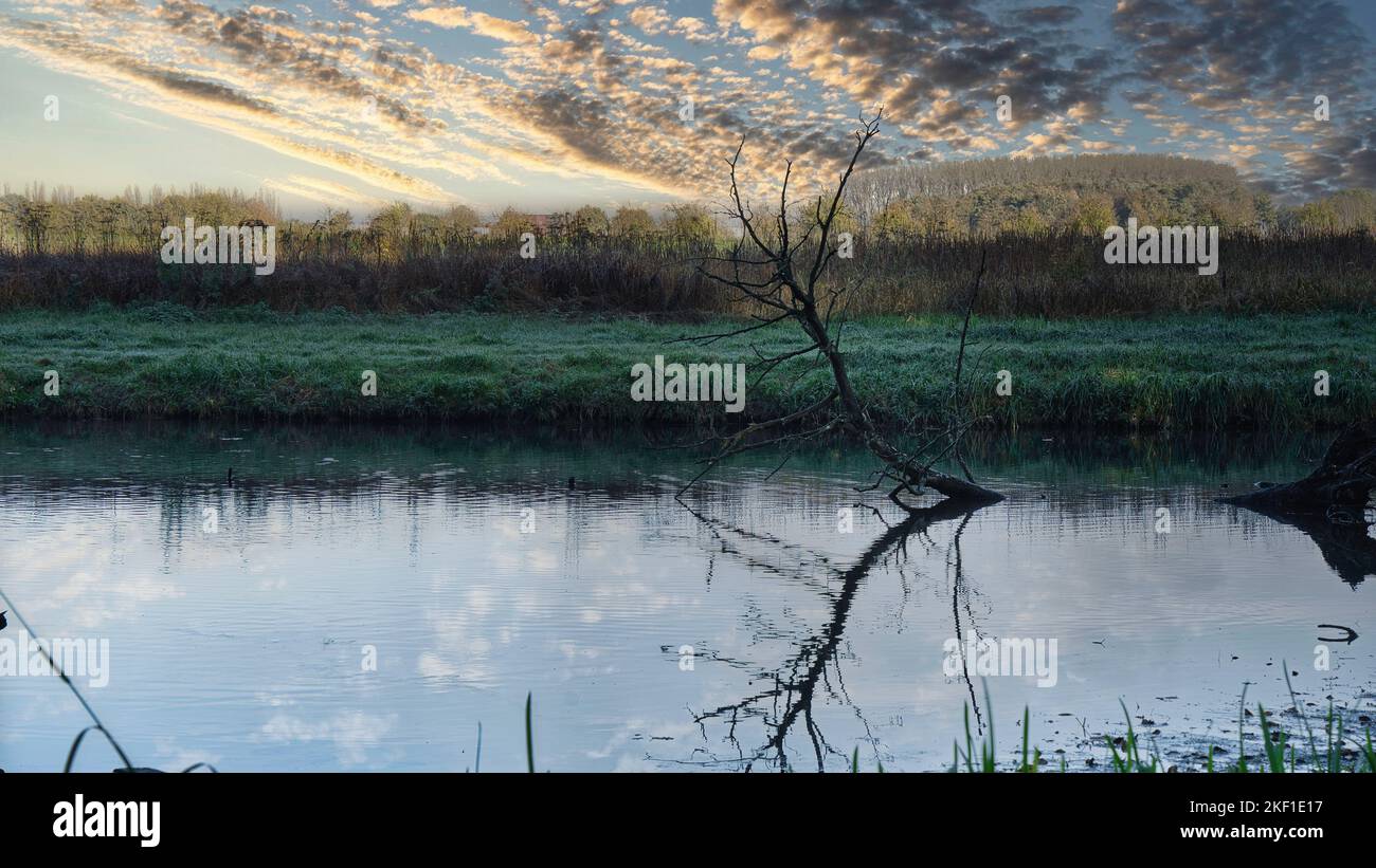 A scenic view of a fallen tree in a river surrounded by grass with a ...
