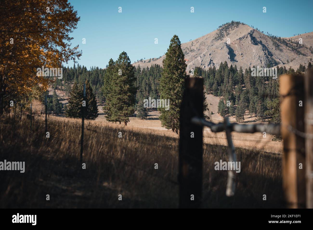 The green trees by rocky mountain in Montana, USA with blur barbed wire ...
