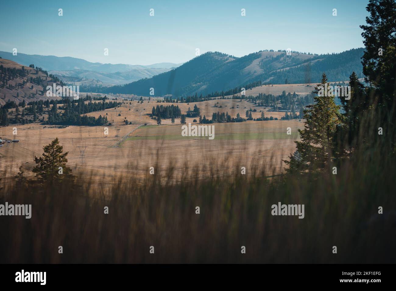 The brown fields and mountains seen behind tall grass in Montana, USA ...