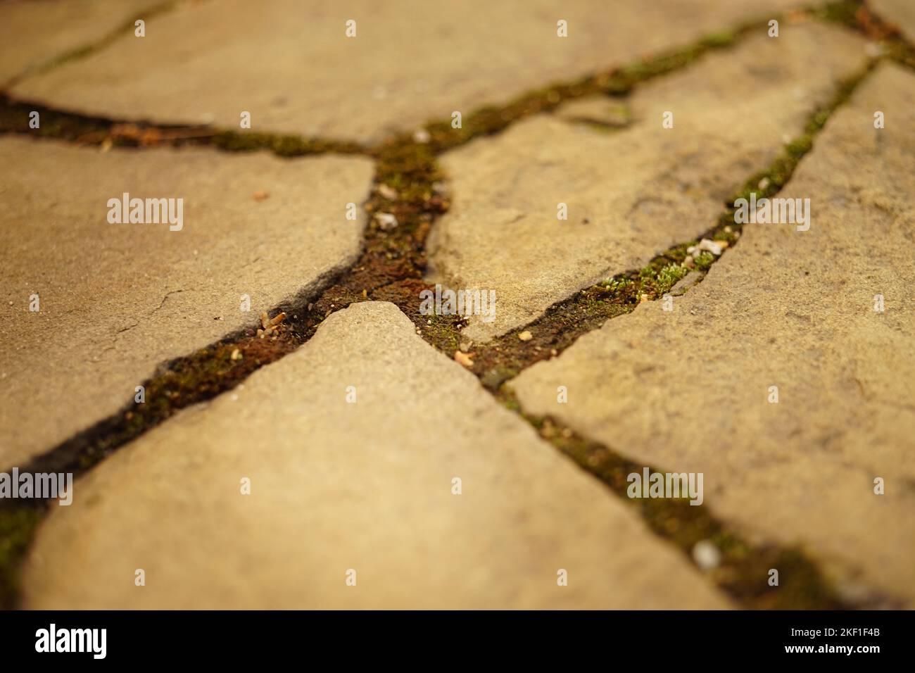 Paved sidewalk made of brown wild stone with moss Stock Photo - Alamy