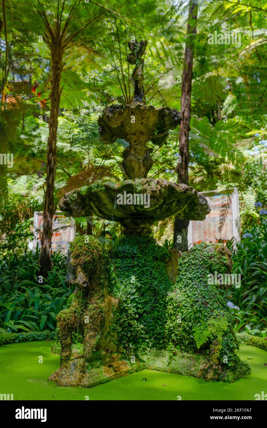 Botanical Garden Monte, Funchal, Madeira island, Portugal Stock Photo ...