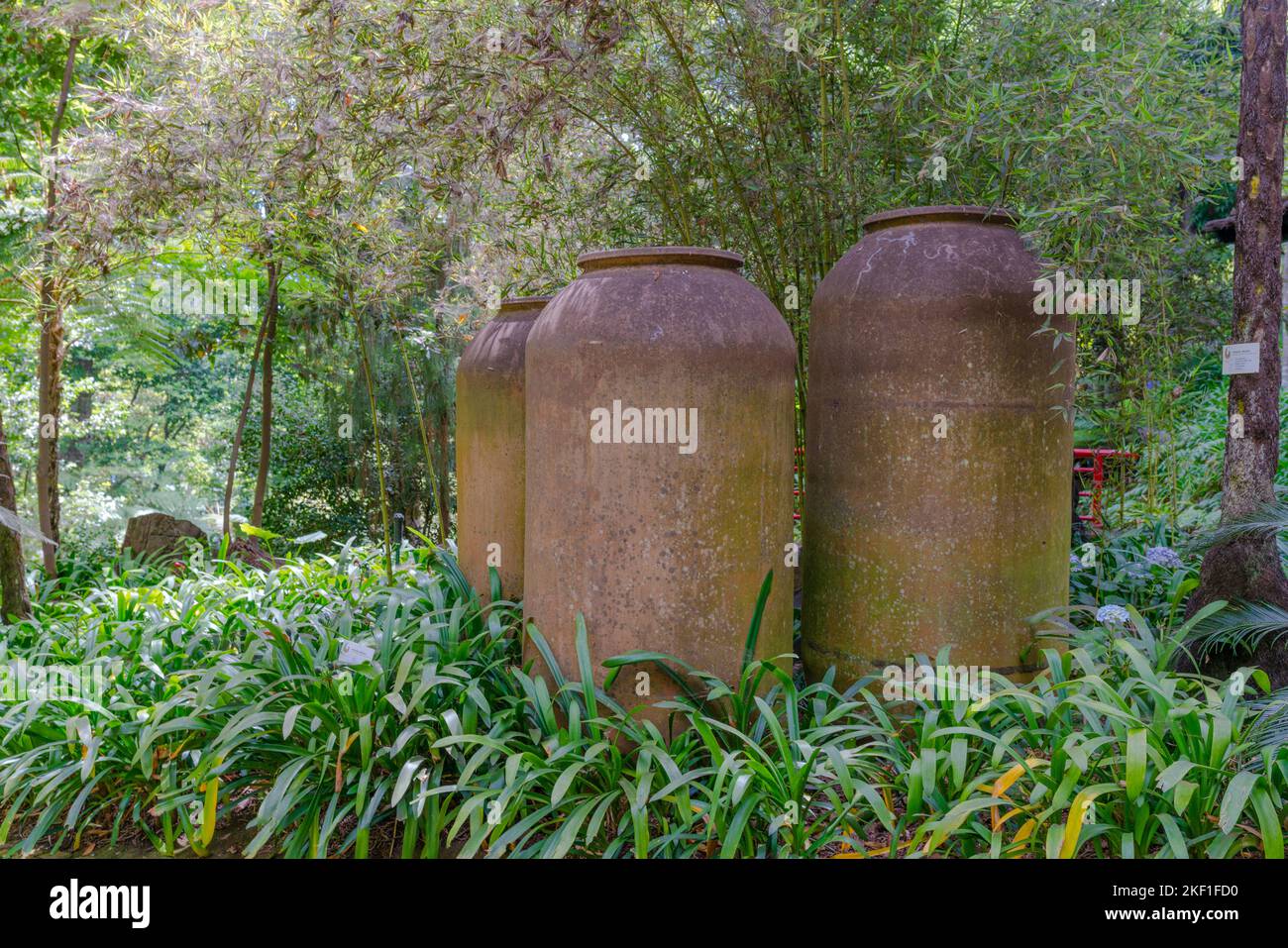 Botanical Garden Monte, Funchal, Madeira island, Portugal Stock Photo ...