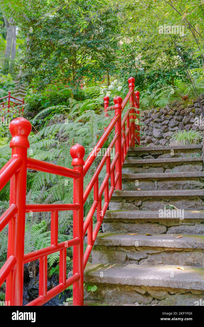Botanical Garden Monte, Funchal, Madeira island, Portugal Stock Photo ...