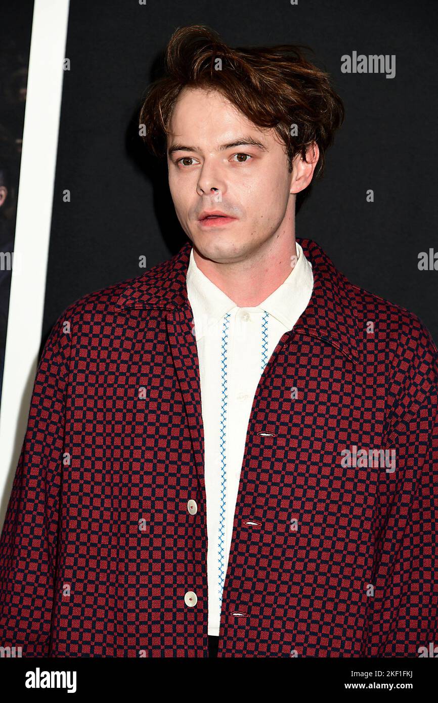 Charlie robin hi-res stock photography and images - Alamy