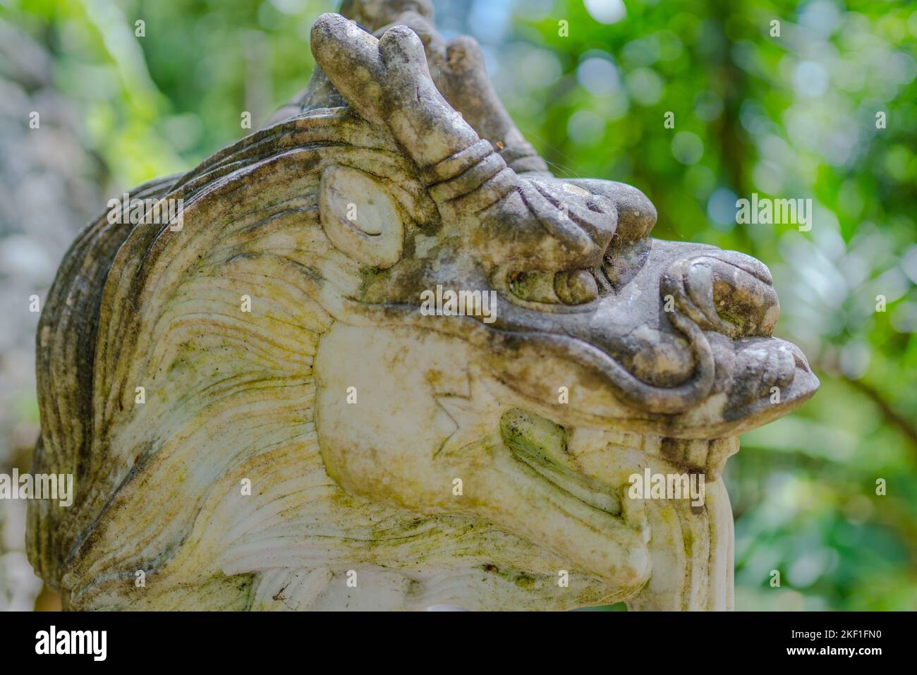 Botanical Garden Monte, Funchal, Madeira island, Portugal Stock Photo ...