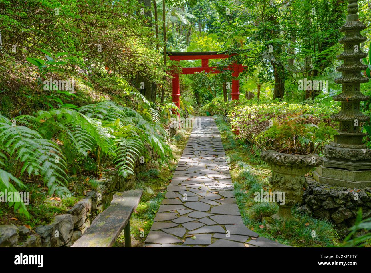 Botanical Garden Monte, Funchal, Madeira island, Portugal Stock Photo ...